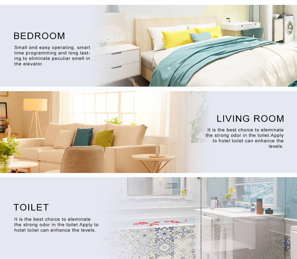 Products Details - SCENTA